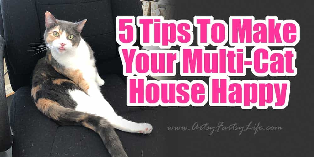 5 Tips To Make Your Multi-Cat House Happy · Artsy Fartsy Life