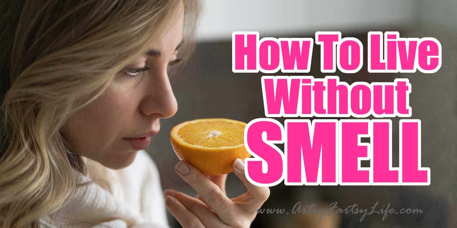 Living My Whole Life Without Smell · Artsy Fartsy Life