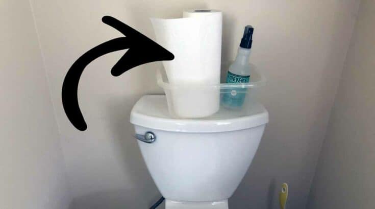 6 No Fail Ways To Get Rid of Pee Smells In Bathroom · Artsy Fartsy Life