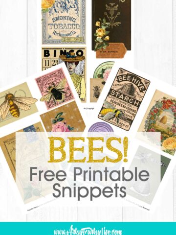 Free Bee Printables – Artsy Fartsy Life