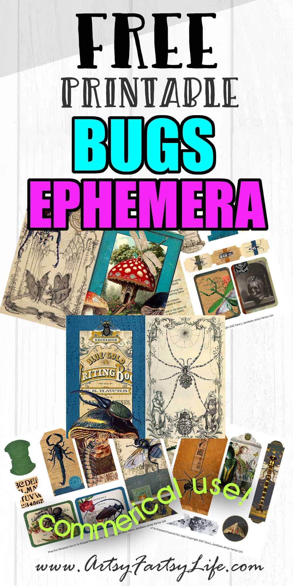 Bugs! Free Printable Ephemera Collage Sheets · Artsy Fartsy Life
