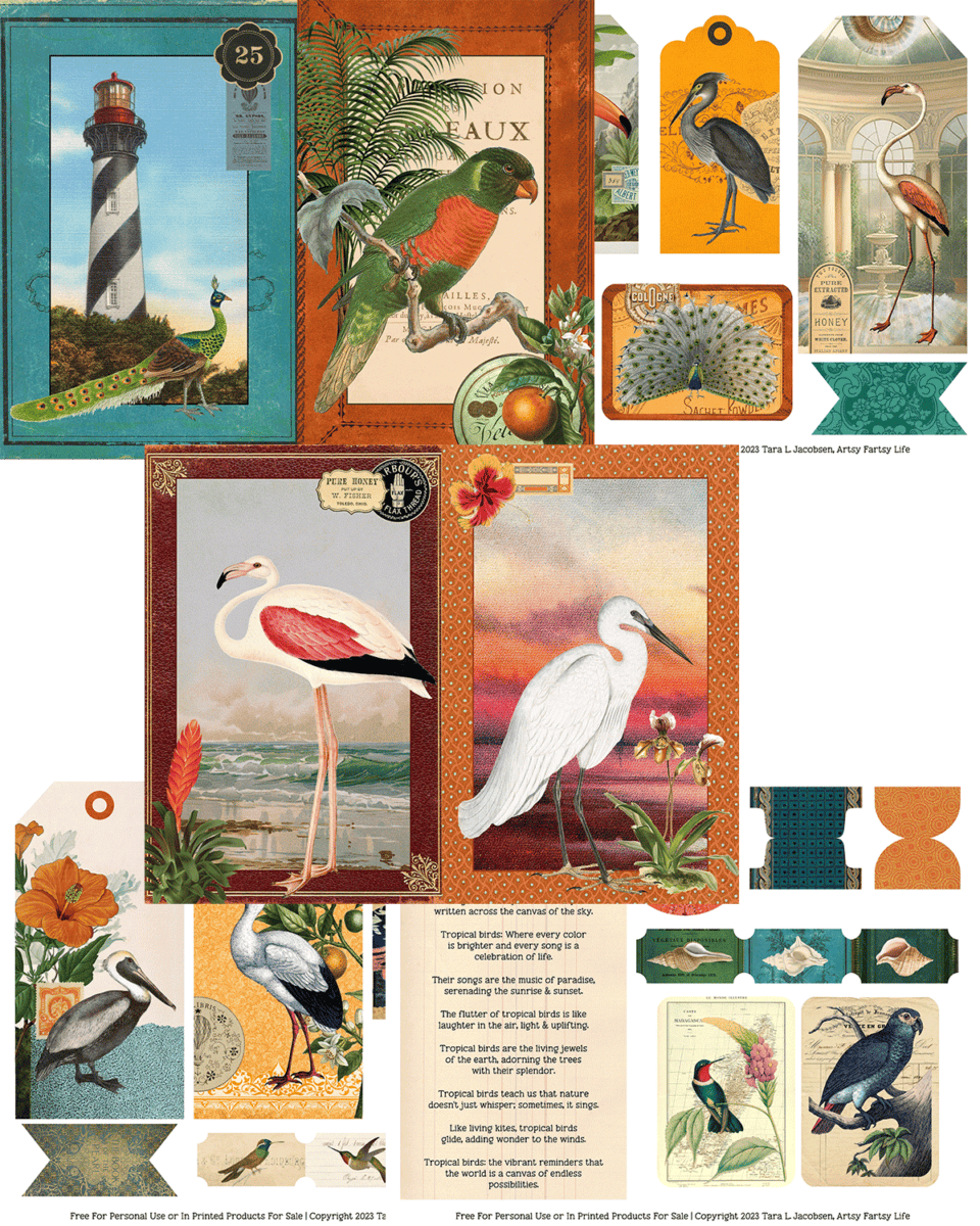Tropical Birds and Flowers - Free Printable Ephemera · Artsy Fartsy Life