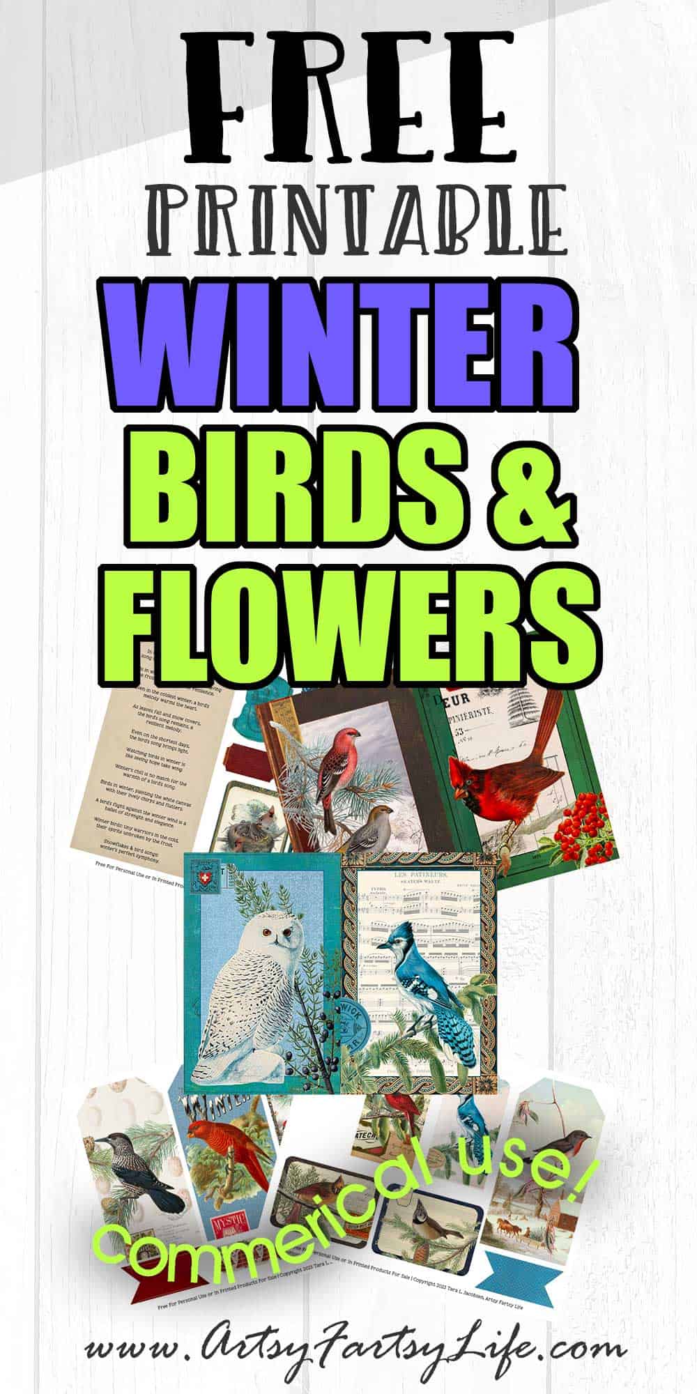 Winter and Holiday Birds and Flowers - Free Printables · Artsy Fartsy Life