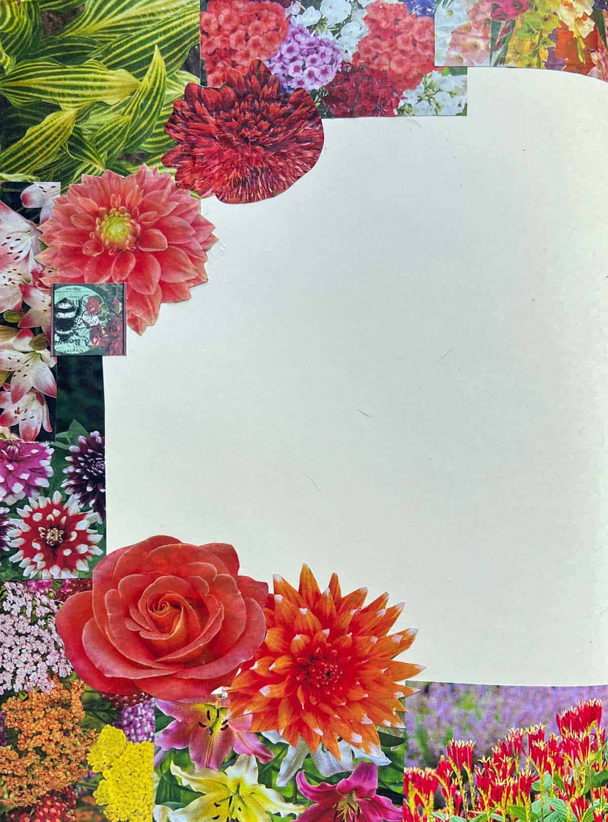 How To Use A Flower Catalog In Mixed Media Magazine Collage · Artsy ...