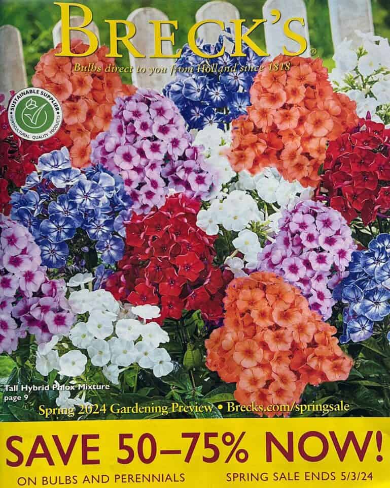 How To Use A Flower Catalog In Mixed Media Magazine Collage · Artsy ...