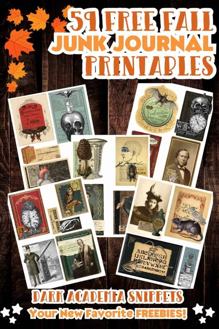 59 Free Printable Junk Journal Pages For Fall – Artsy Fartsy Life