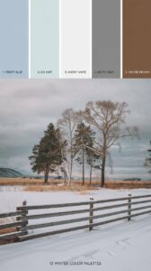 13 Winter Color Palettes For Seasonal Artwork · Artsy Fartsy Life