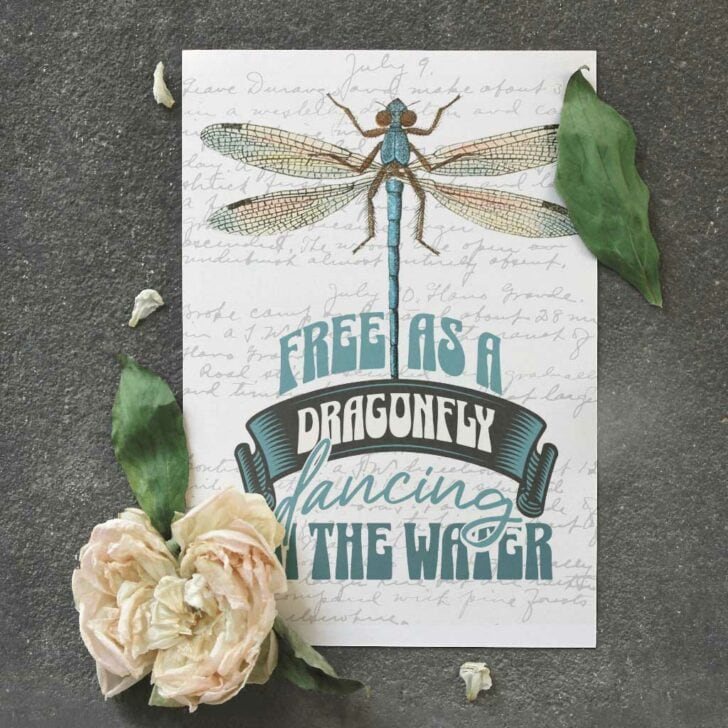 5 Free Printable Vintage Insect Pages · Artsy Fartsy Life