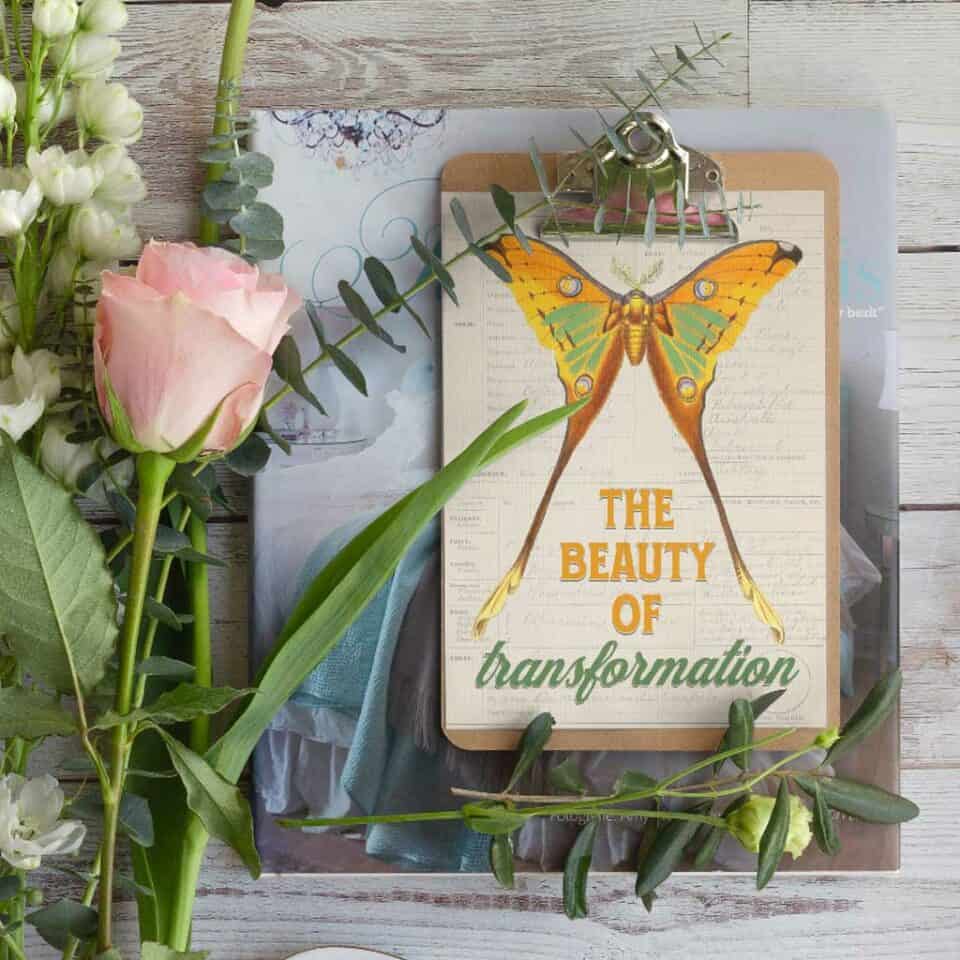 5 Free Printable Vintage Insect Pages · Artsy Fartsy Life