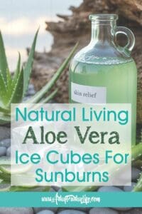 Natural Aloe Vera Ice Cubes for Sunburn Relief · Artsy Fartsy Life