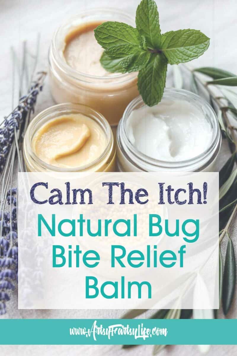 Natural Bug Bite Relief Balm: Calm the Itch, Naturally! · Artsy Fartsy Life